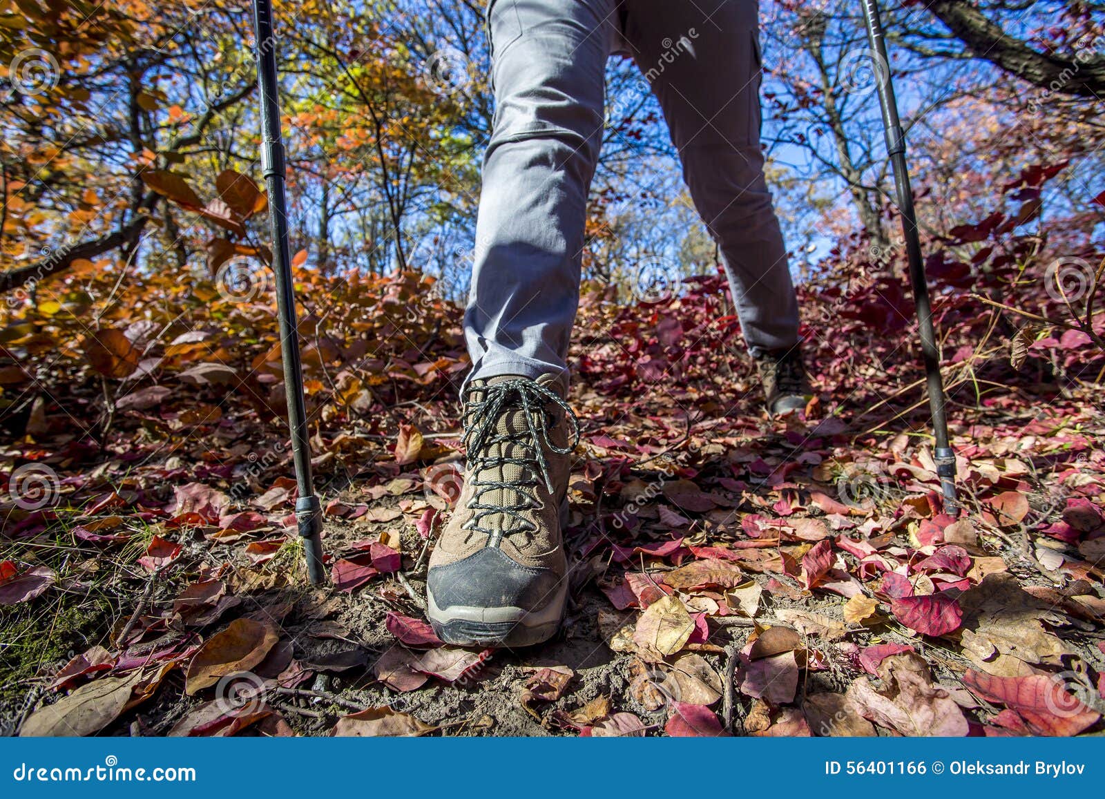 One step forward stock photo. Image of fall, girl, bush - 56401166