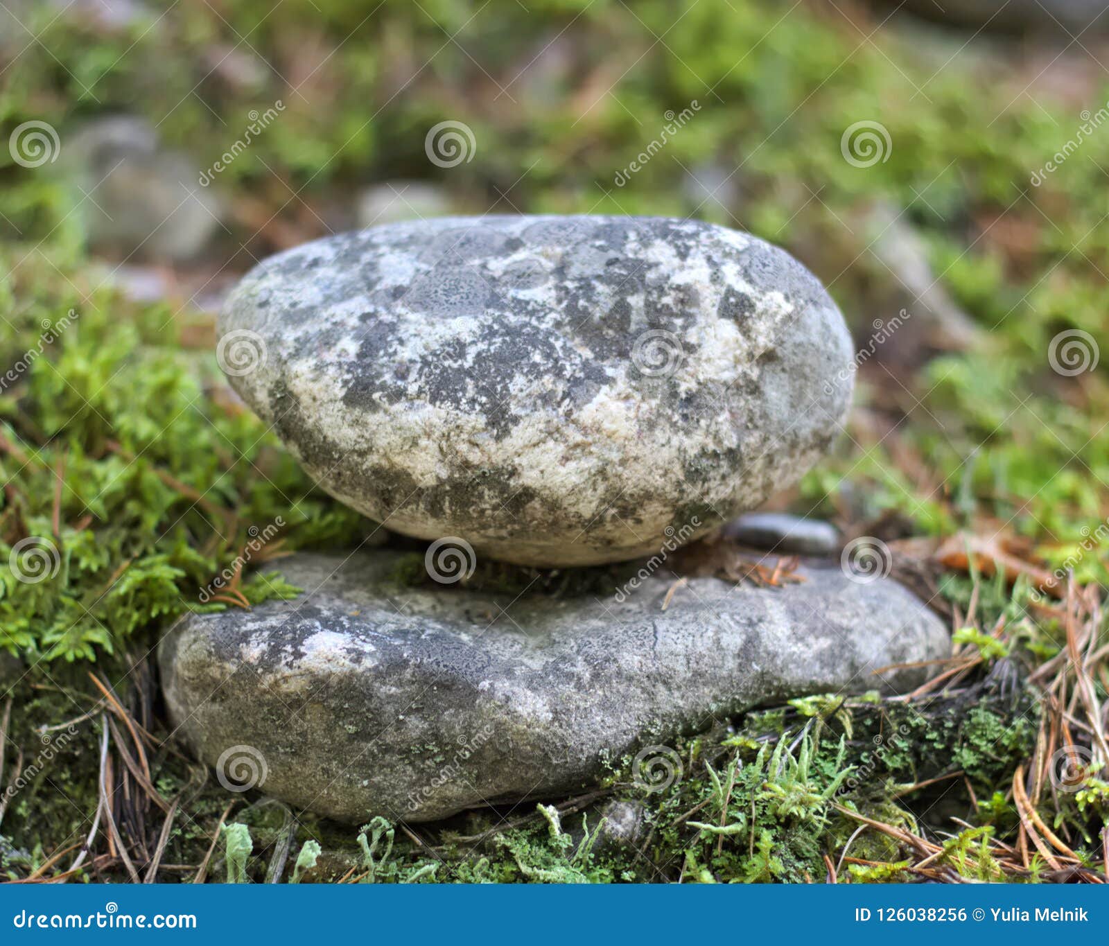 One Stone on the Other on the Moss in the Forest Symbolizing Stability ...