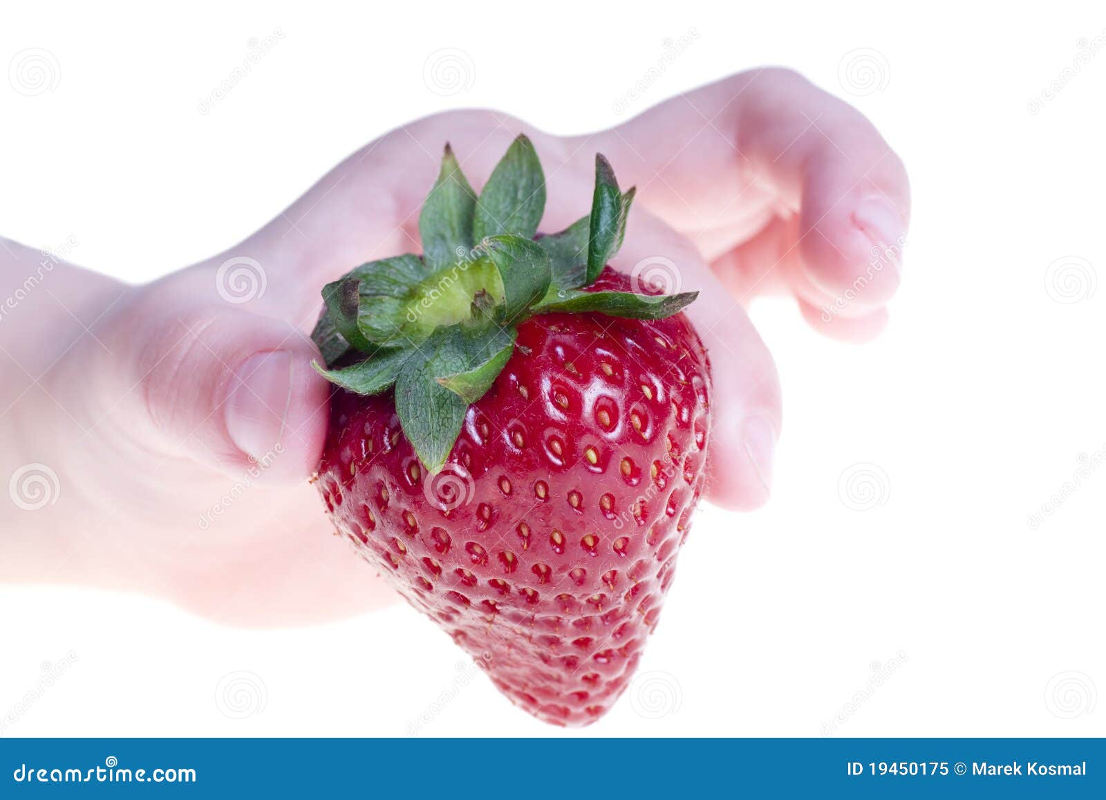 One strawberry stock image. Image of food, closeup, ripe - 19450175