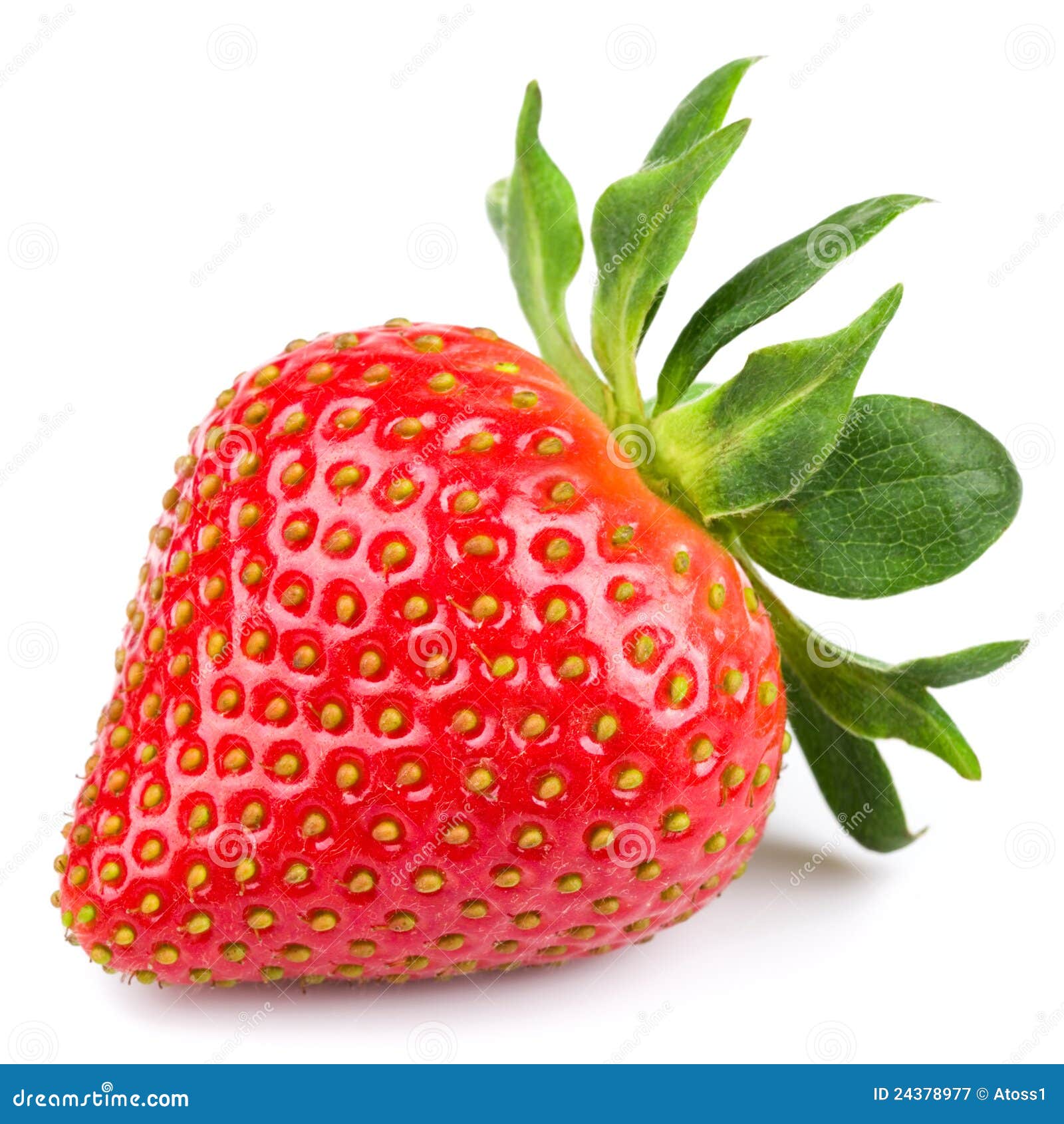 One strawberry stock image. Image of berry, isolated - 24378977