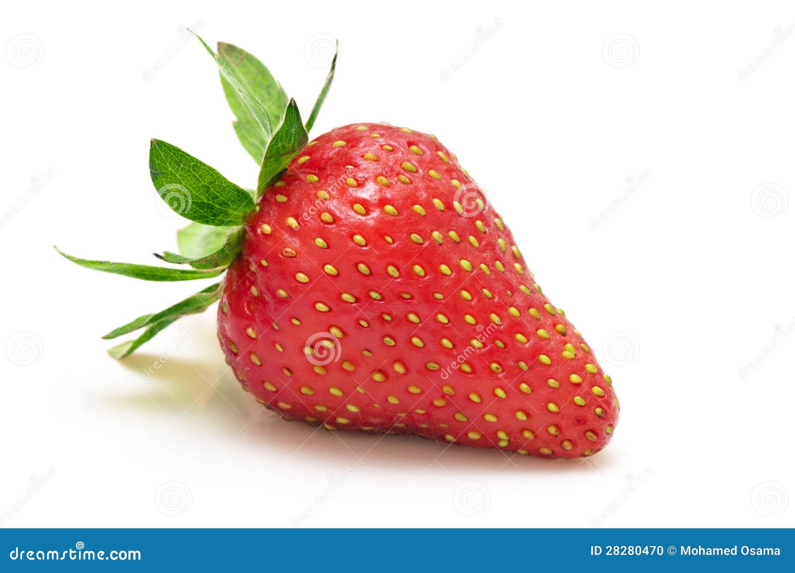 One Strawberry stock photo. Image of delicious, seed - 28280470