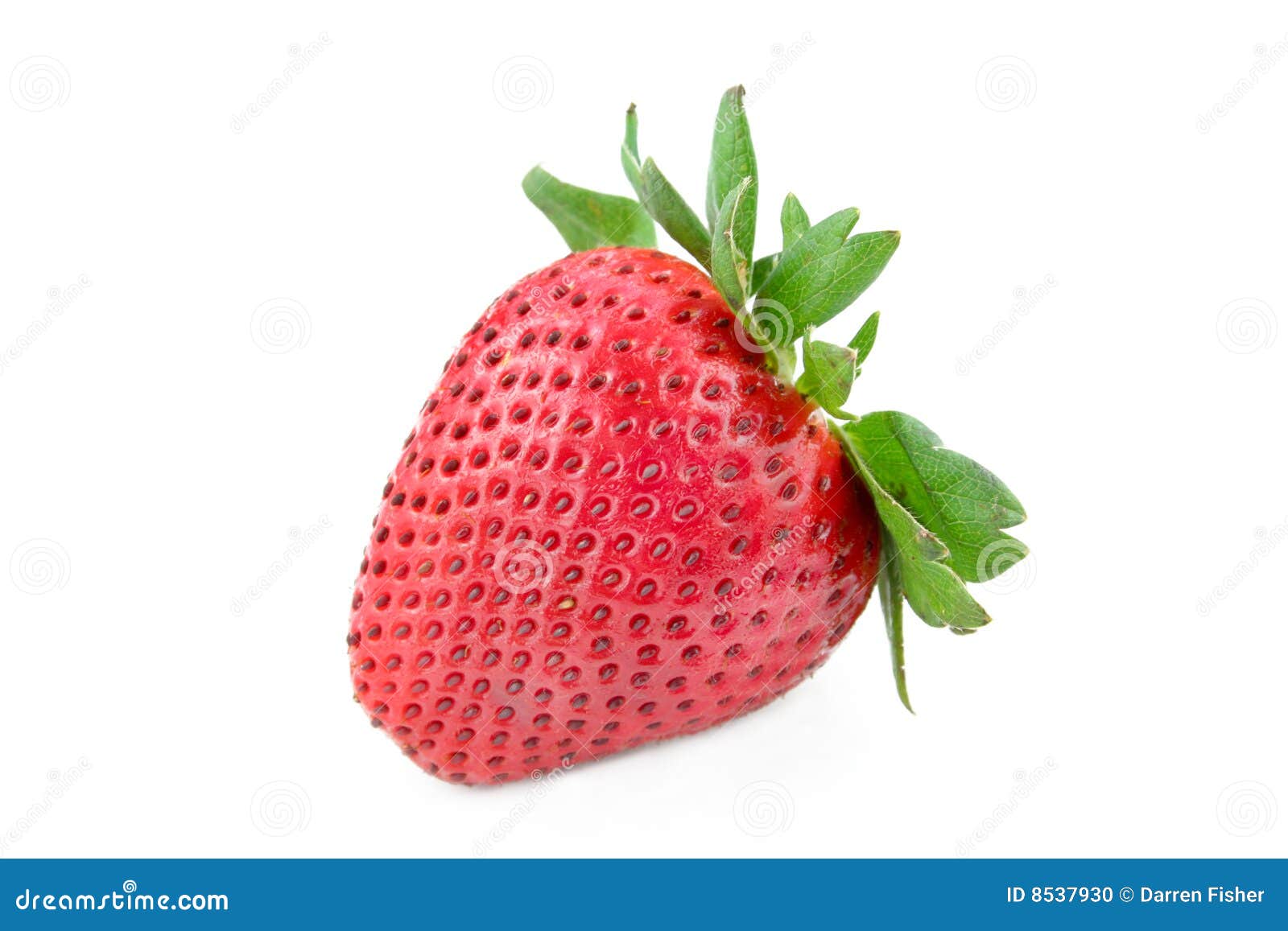 One Strawberry stock photo. Image of nature, clean, green - 8537930