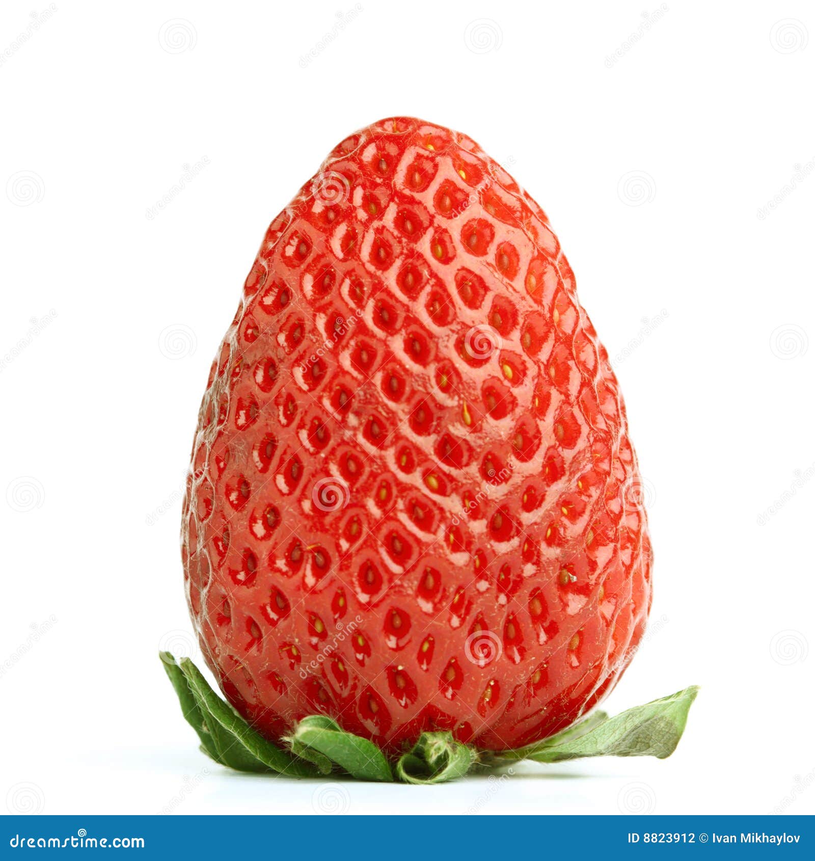 One strawberry stock photo. Image of horizontal, fruity - 8823912