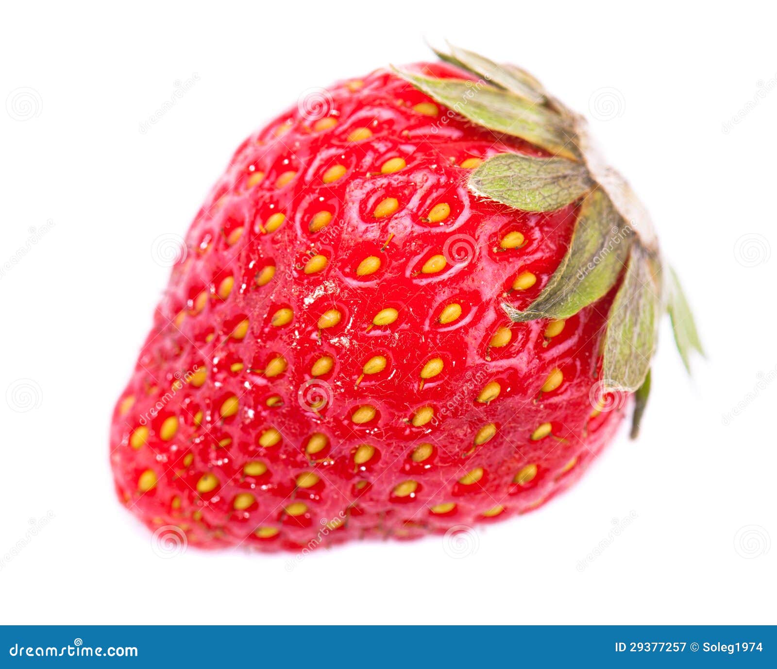 One Strawberry Macro Photoed Stock Image - Image of edible, macro: 29377257