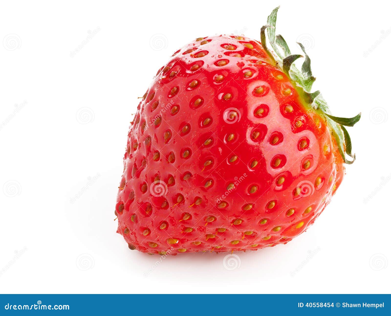 One strawberry stock photo. Image of healthy, gourmet - 40558454