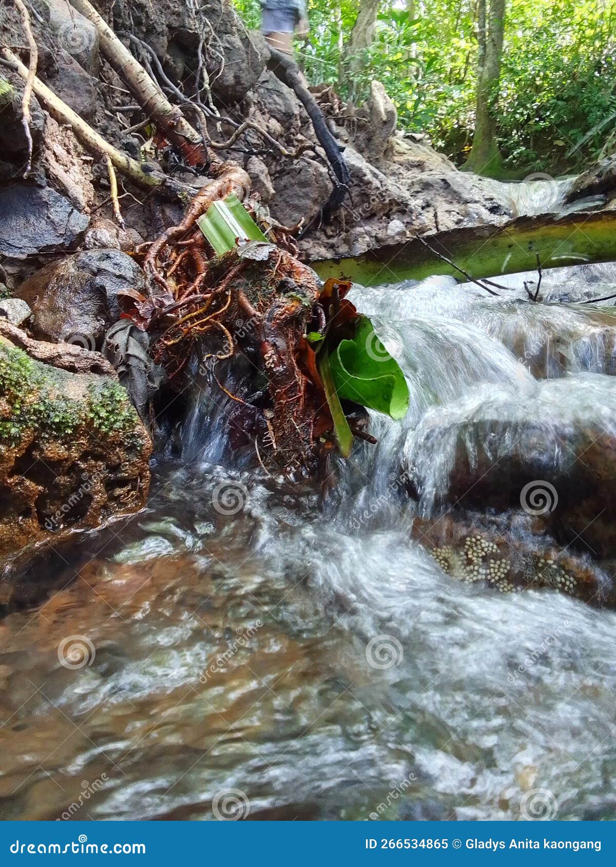 One of the Streams, Clean Water, and Comfortable in Use Stock Image ...