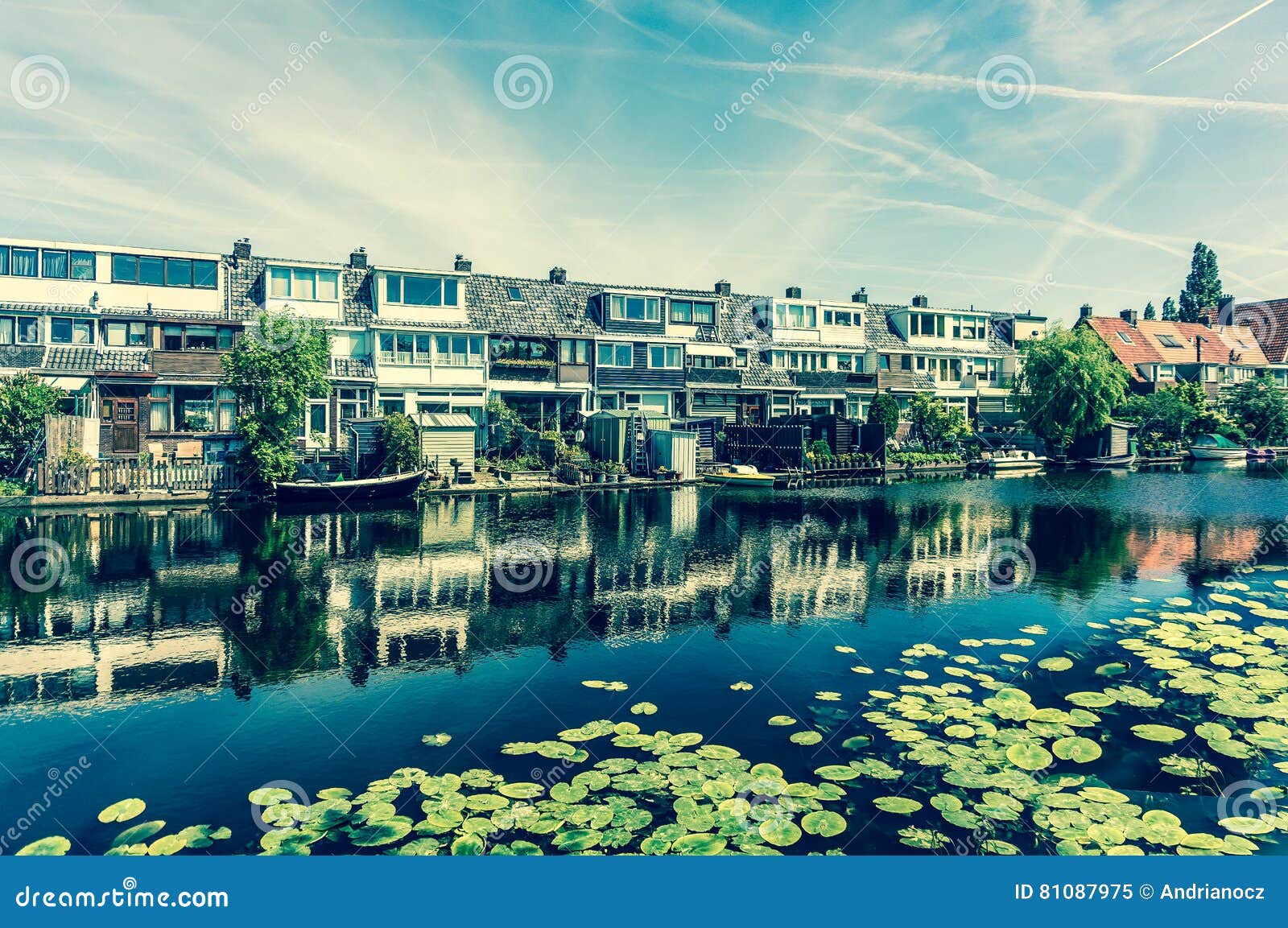 One of the Streets in Rotterdam, Netherlands Stock Image - Image of ...