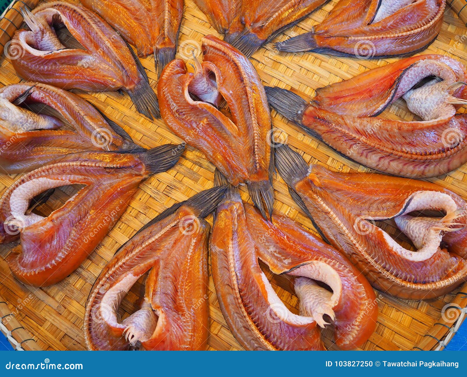 One Sunny Fish on a Wooden Tray. Stock Photo - Image of sunny, animal ...