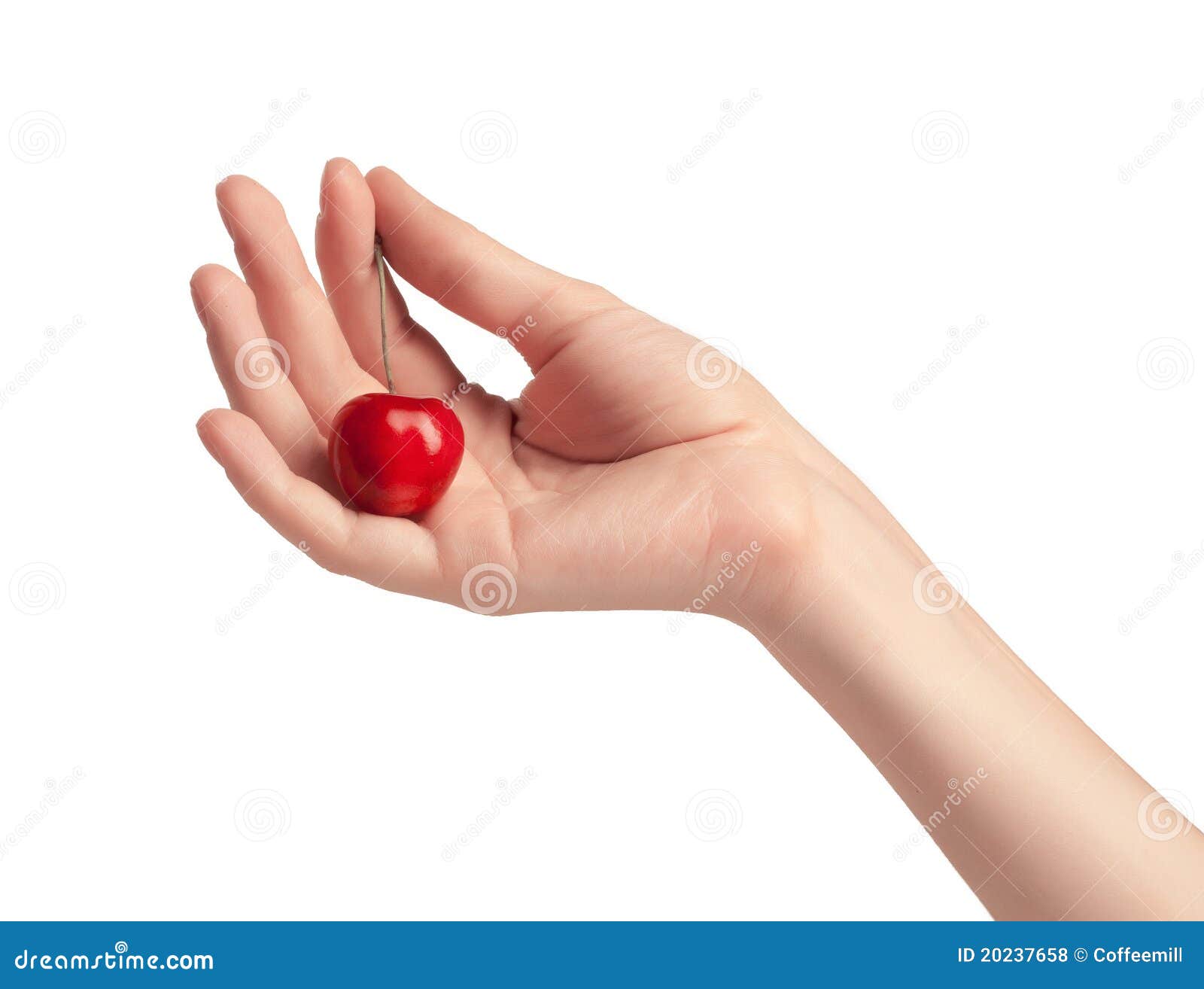 One Sweet Cherries in a Hand. Stock Photo - Image of lady, fruit: 20237658