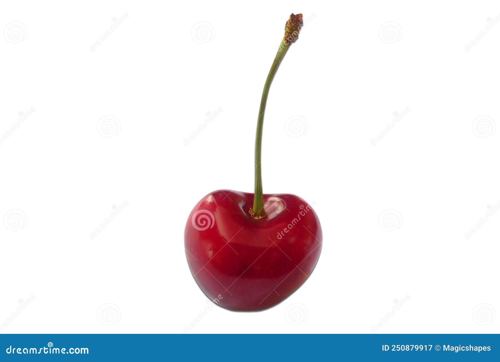 One sweet cherry stock image. Image of flat, food, cherri - 250879917