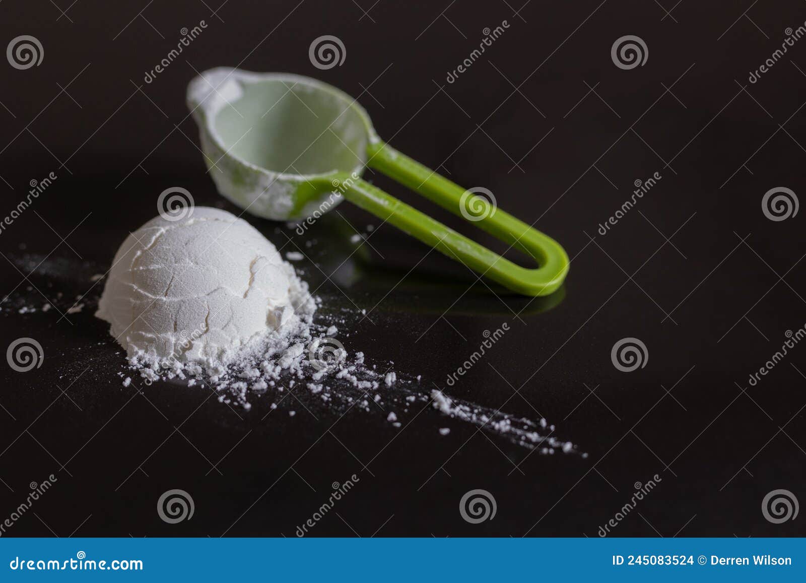 Arrow Root Plant Bushes - Maranta Arundinacea - Ayurvedic Plants Stock ...