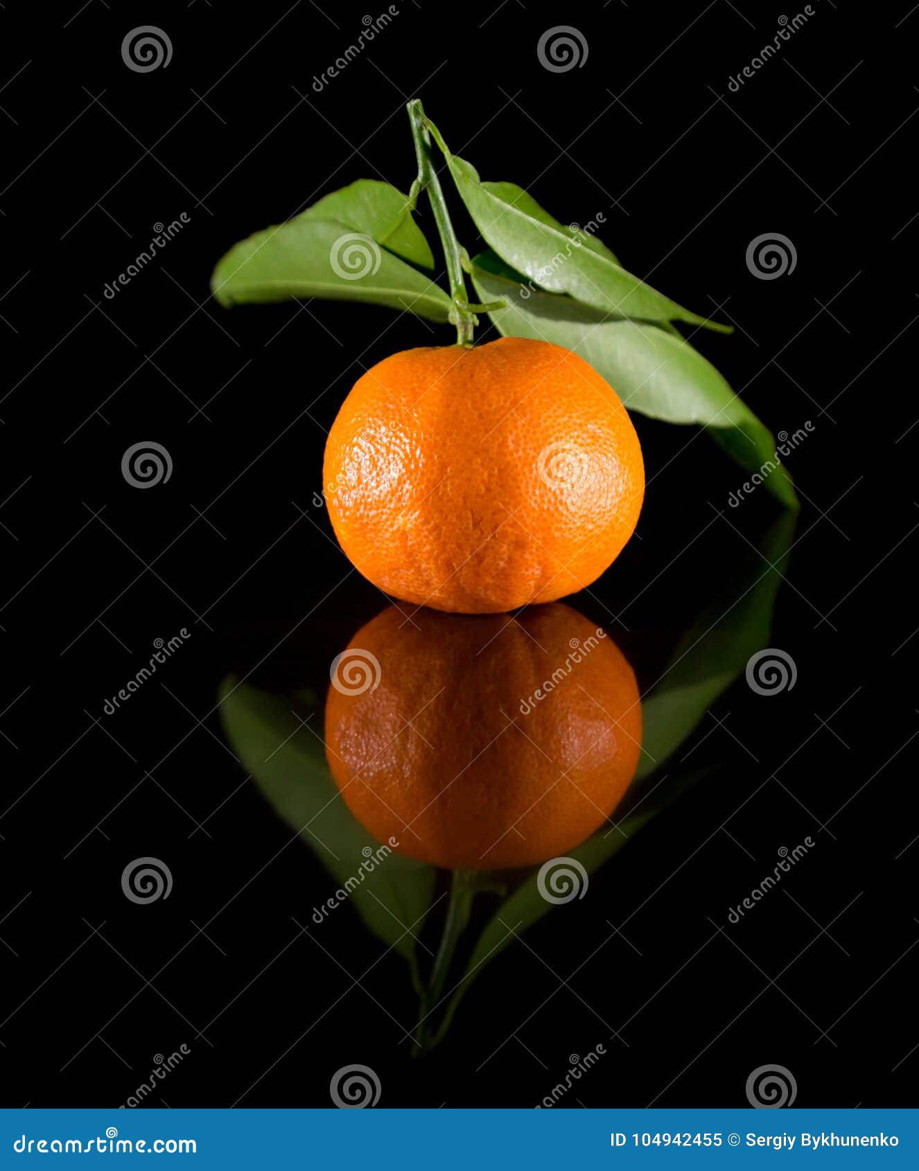One Tangerine on Black Background Stock Image - Image of leaves ...