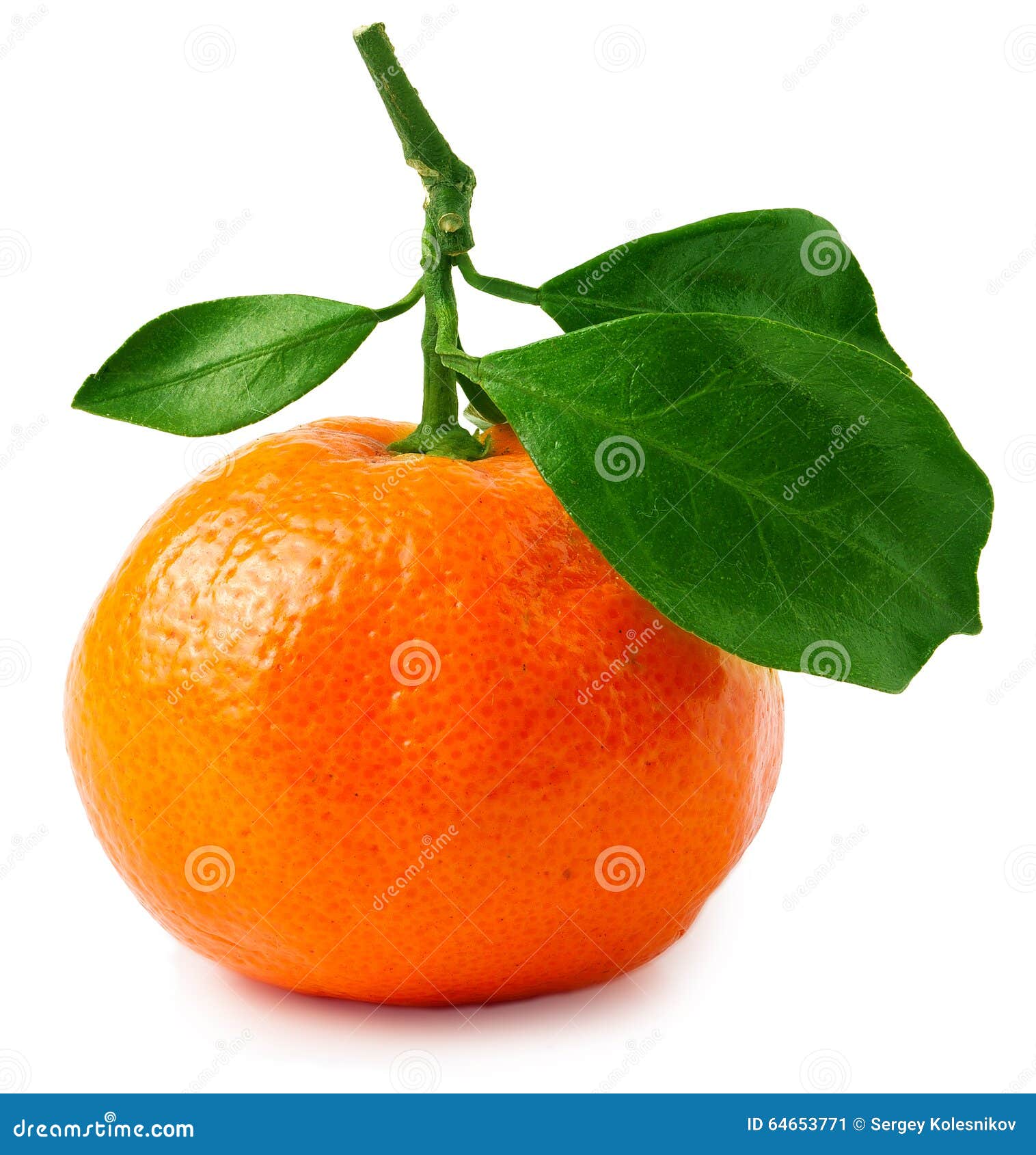 One Tangerine or Orange with Leaves Isolated on White Stock Image ...