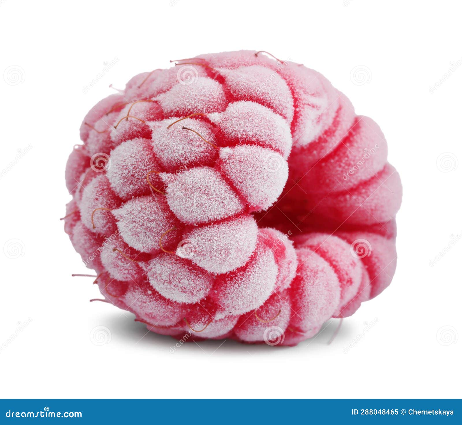 One Tasty Frozen Raspberry Isolated on White Stock Image - Image of ...