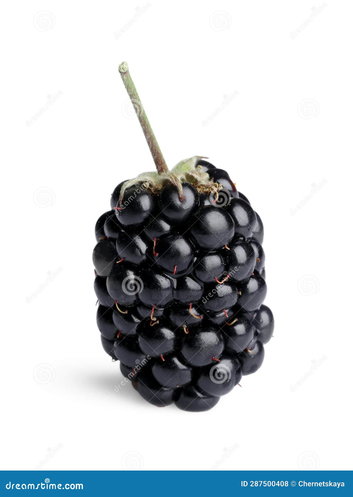One Tasty Ripe Blackberry Isolated on White Stock Photo - Image of ...