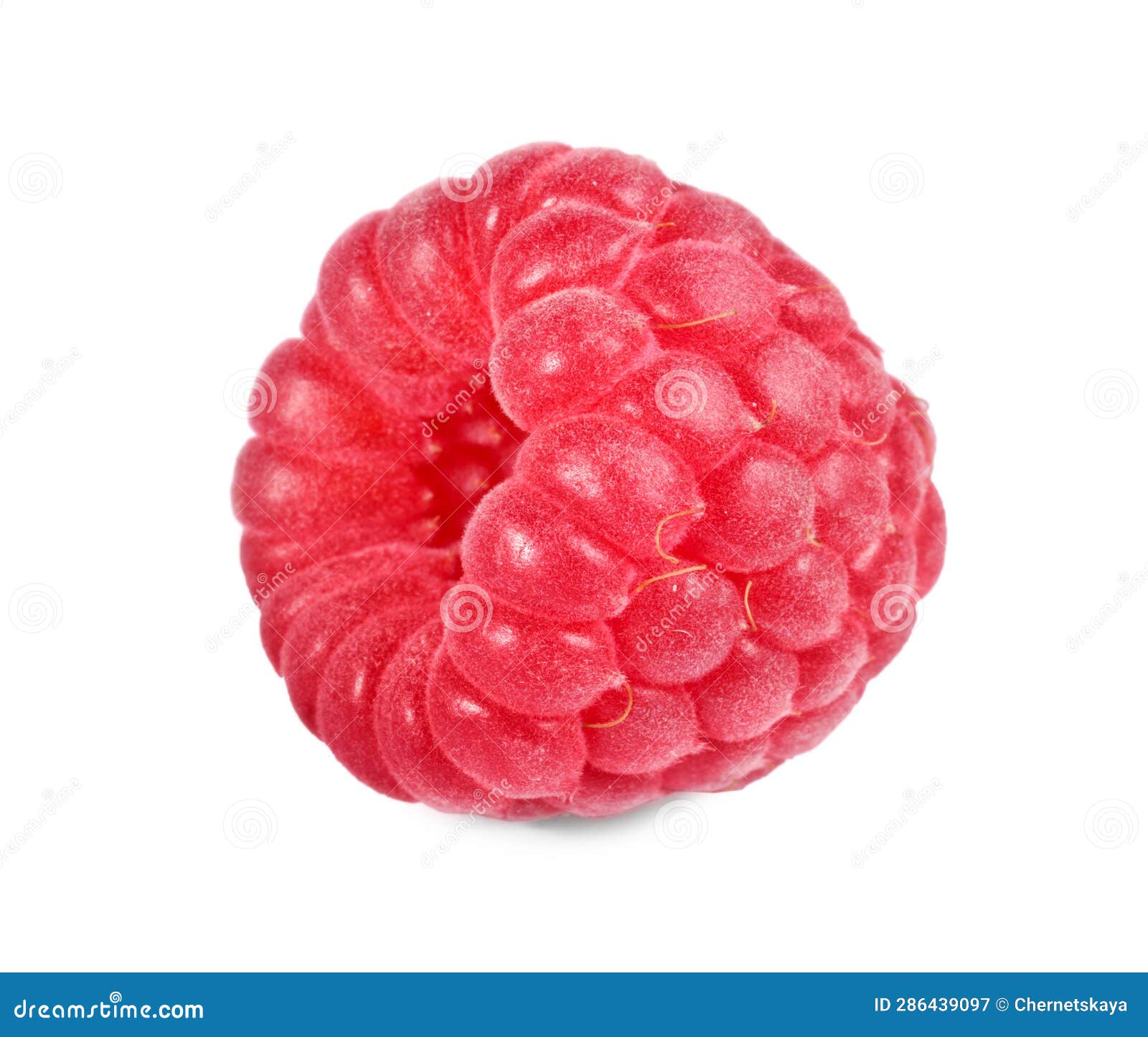 One Tasty Ripe Raspberry Isolated on White Stock Image - Image of sweet ...