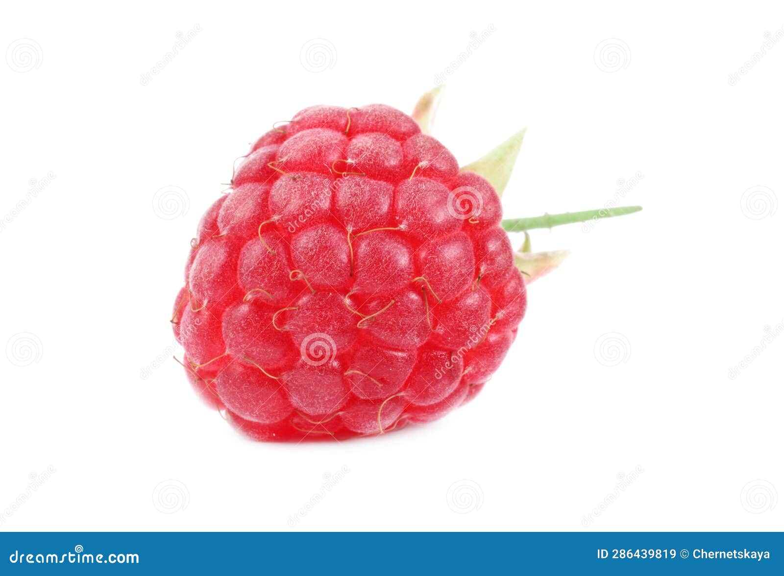 One Tasty Ripe Raspberry Isolated on White Stock Image - Image of sweet ...