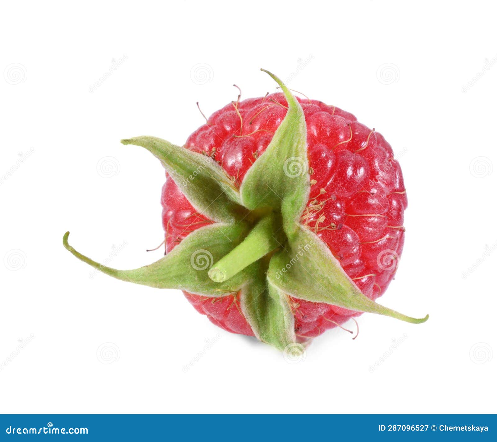 One Tasty Ripe Raspberry Isolated on White Stock Image - Image of food ...