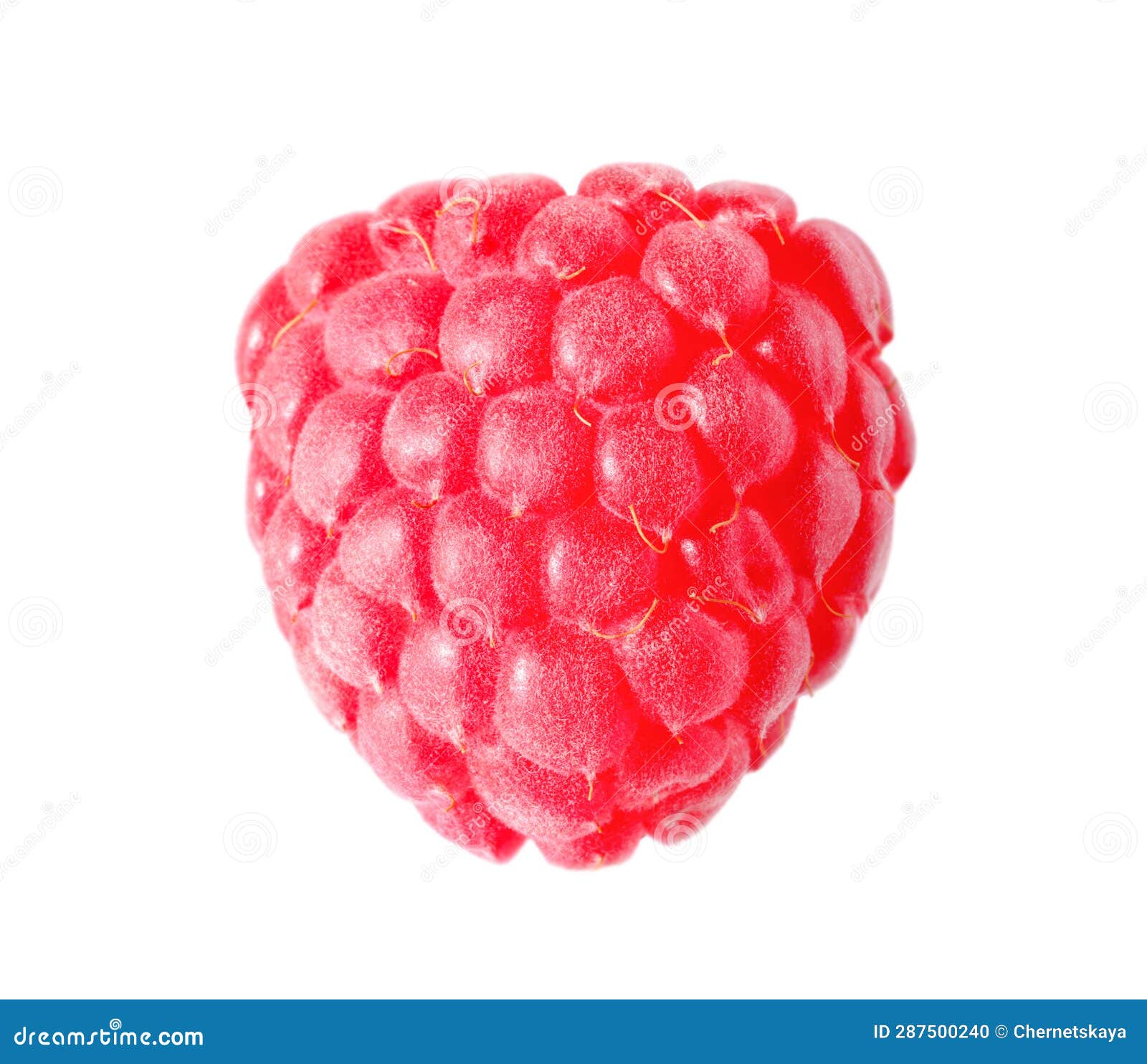 One Tasty Ripe Raspberry Isolated on White Stock Photo - Image of ...