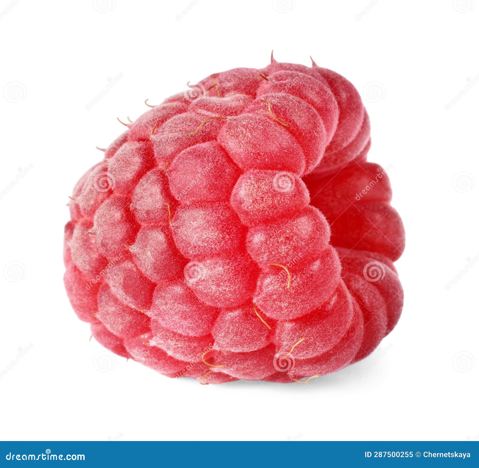 One Tasty Ripe Raspberry Isolated on White Stock Image - Image of ...