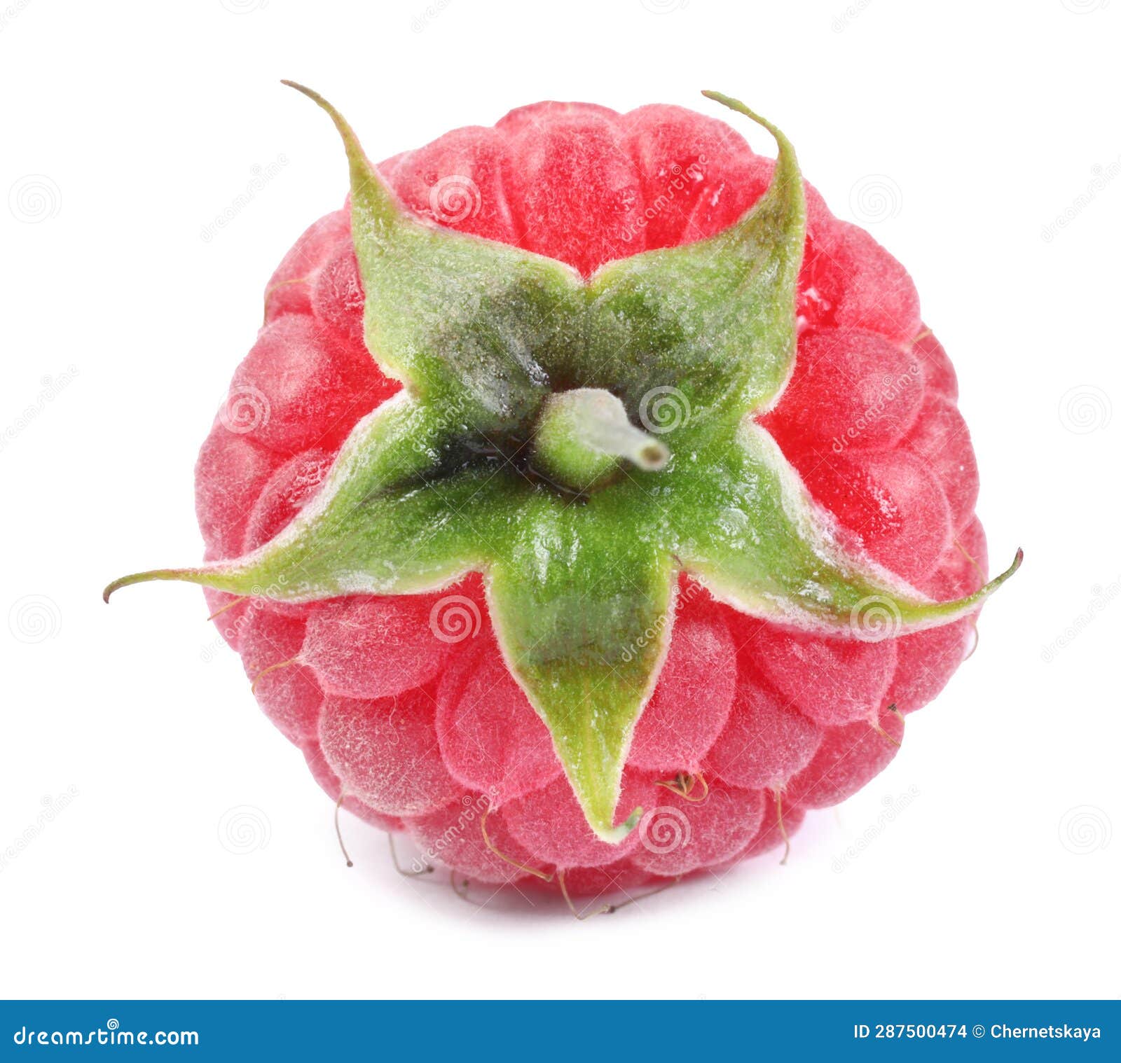 One Tasty Ripe Raspberry Isolated on White Stock Photo - Image of ...