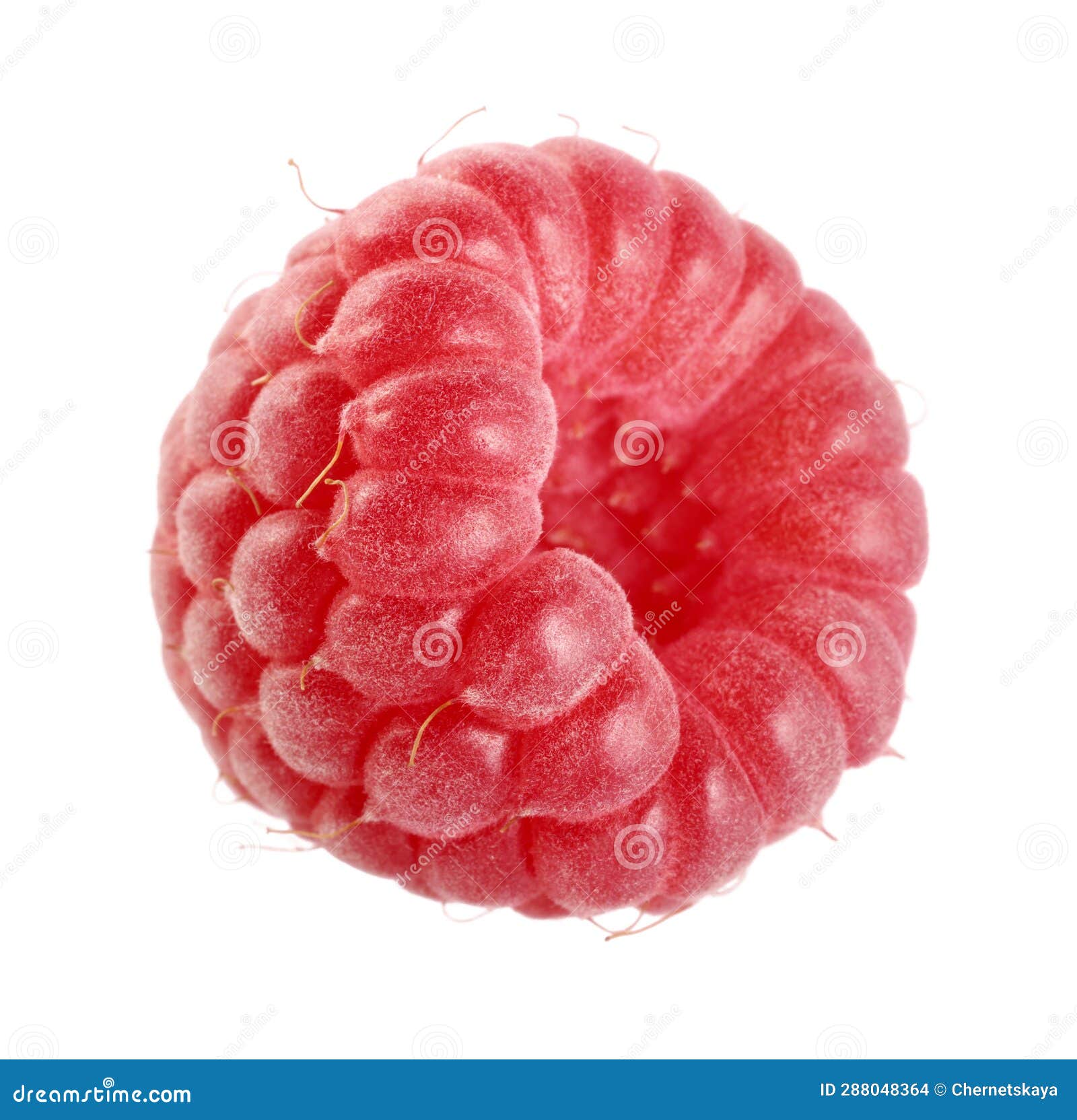 One Tasty Ripe Raspberry Isolated on White Stock Photo - Image of ...