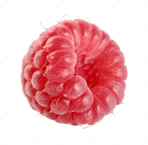 One Tasty Ripe Raspberry Isolated on White Stock Photo - Image of ...