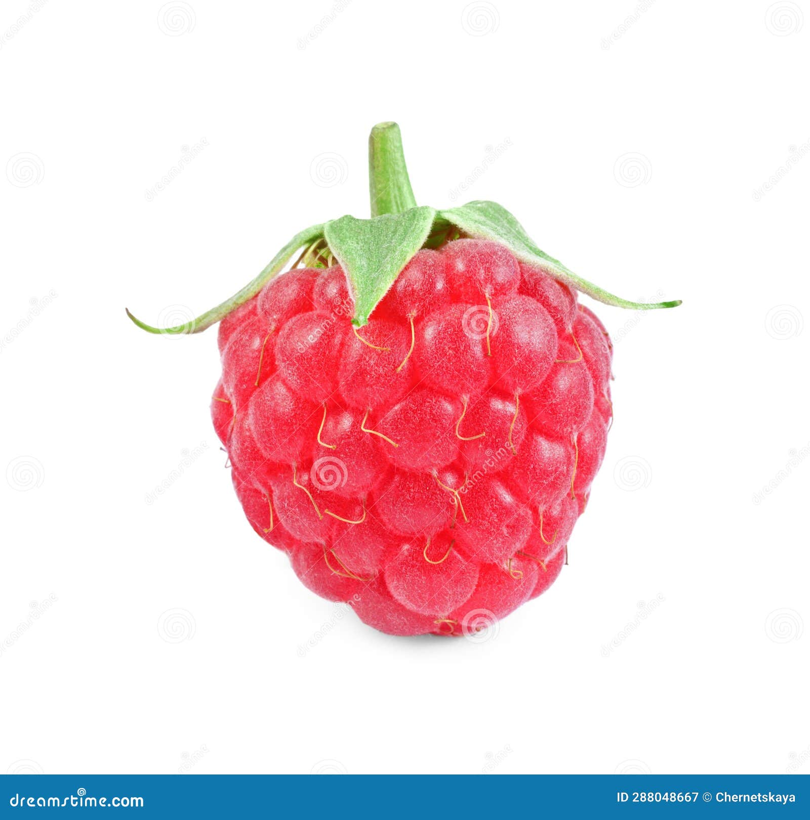One Tasty Ripe Raspberry Isolated on White Stock Image - Image of ...