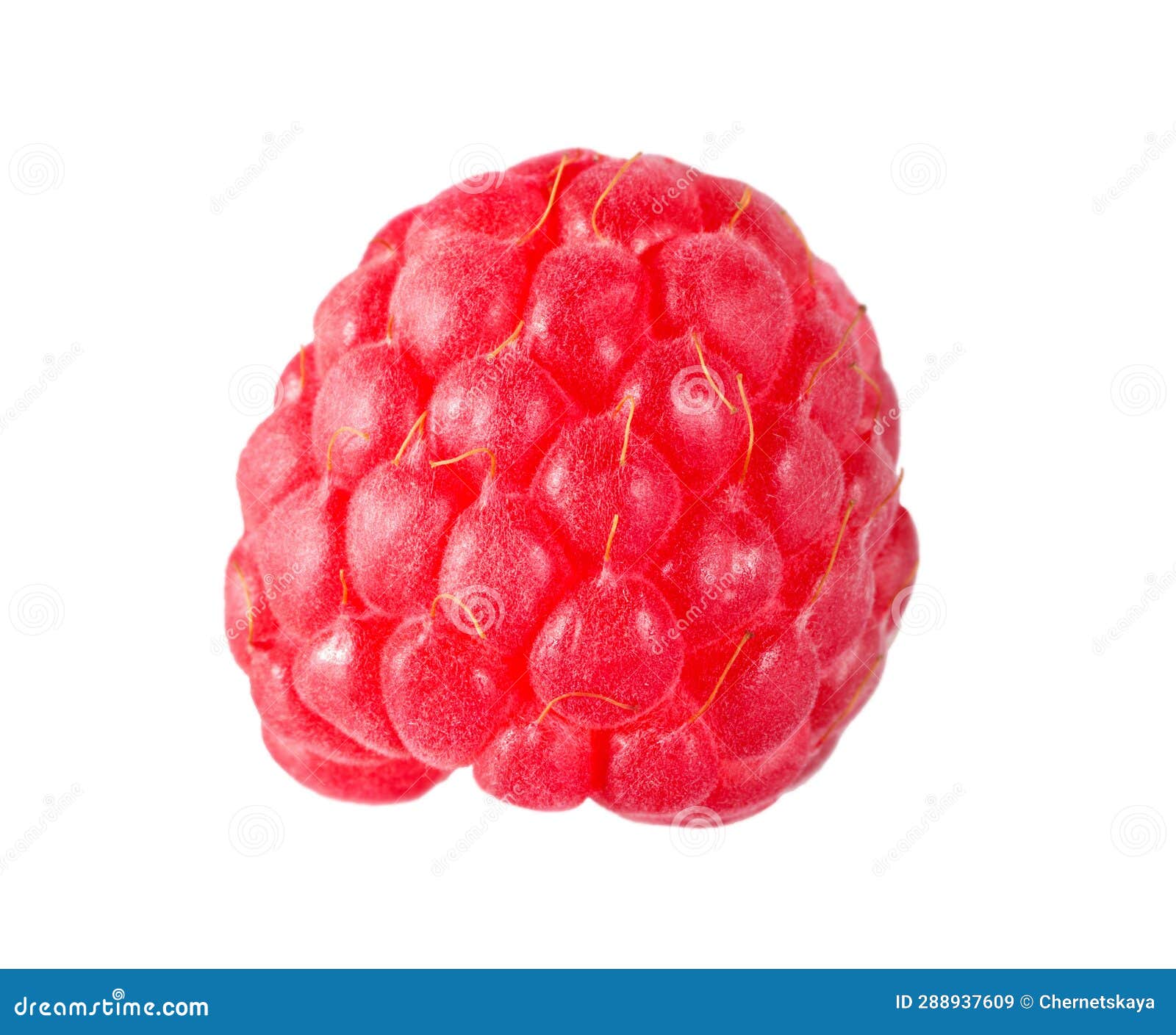 One Tasty Ripe Raspberry Isolated on White Stock Image - Image of tasty ...