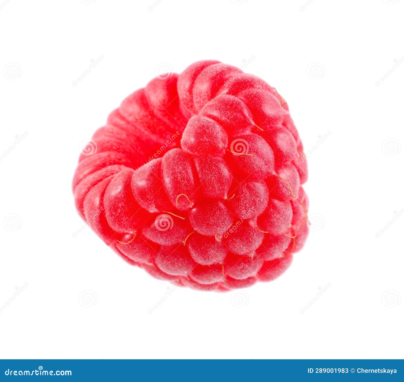 One Tasty Ripe Raspberry Isolated on White Stock Image - Image of ...