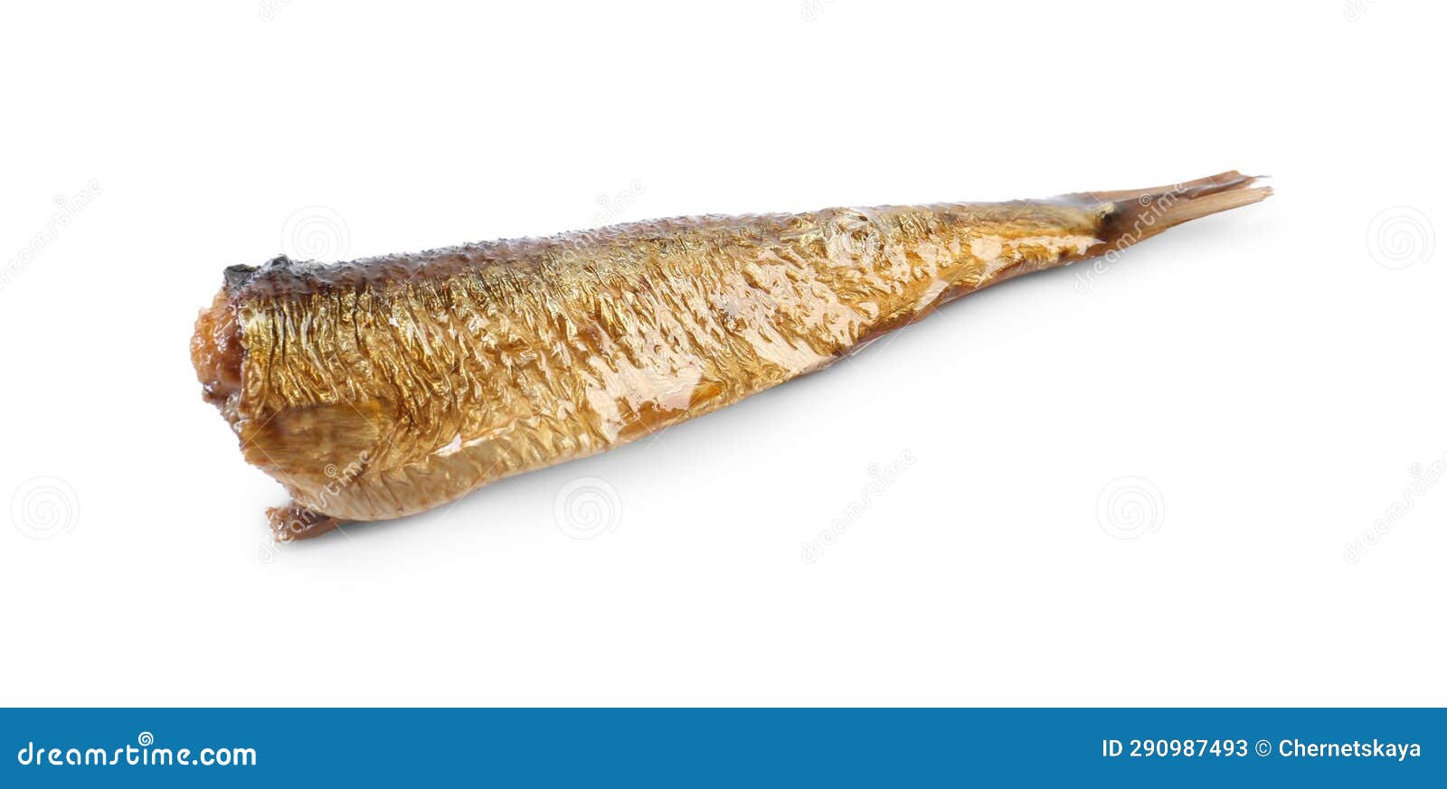 One Tasty Smoked Sprat Isolated on White Stock Image - Image of ...