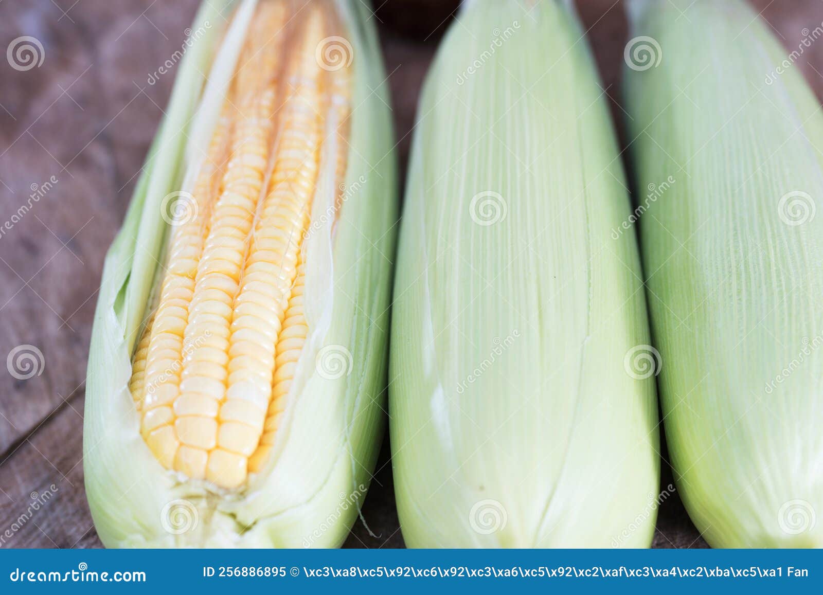 One of the Three Green Corn Cobs Peeled Off the Partial Outer Skin ...