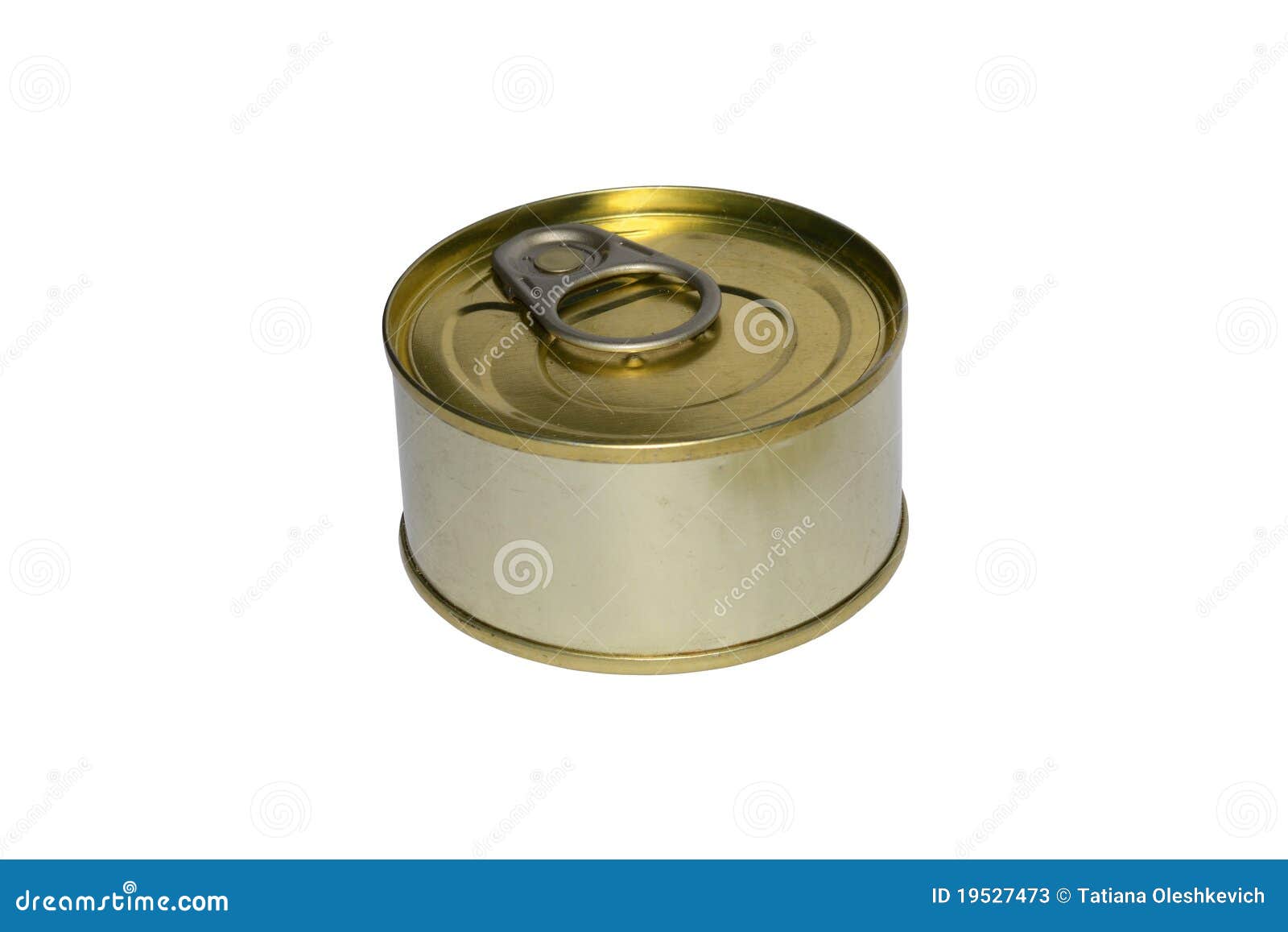 One tin can stock image. Image of canned, meal, product - 19527473