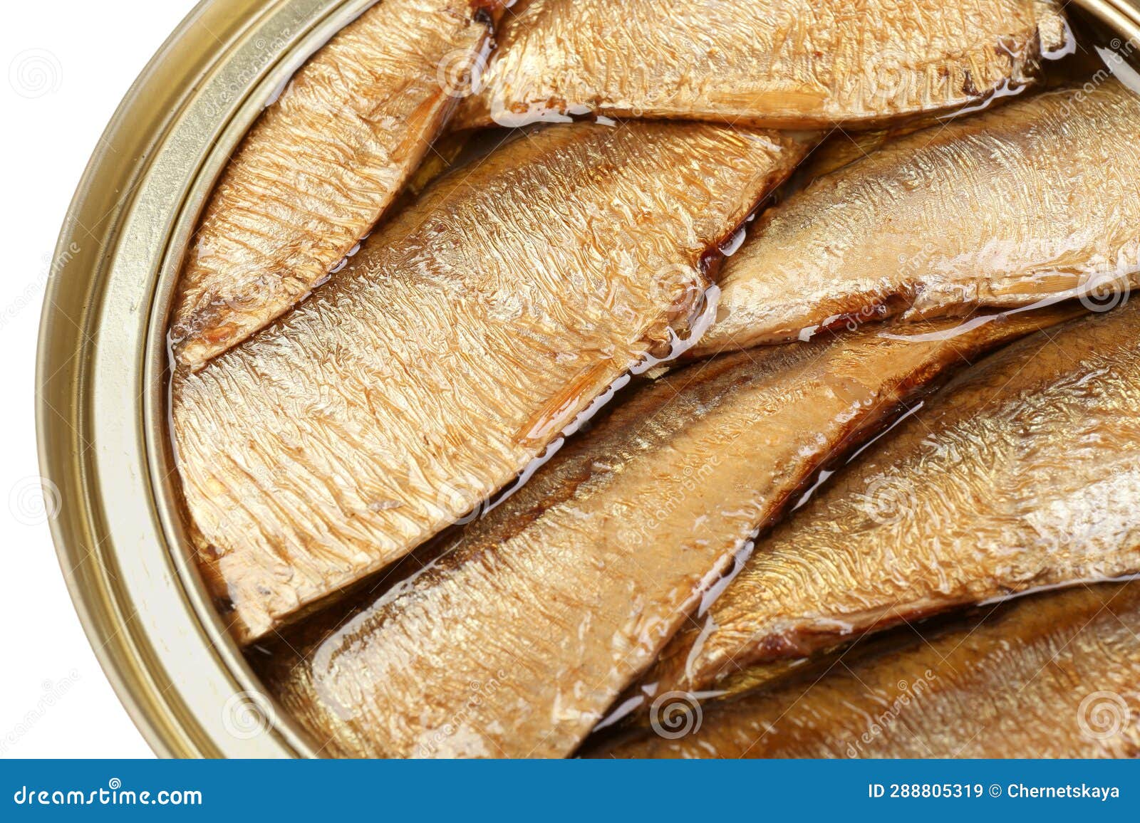One Tin Can of Sprats Isolated on White Stock Image - Image of fish ...