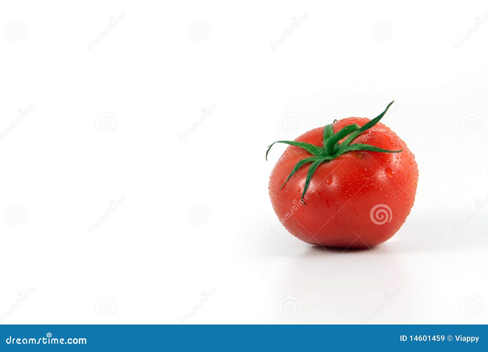 One tomato stock image. Image of natural, harvest, healthy - 14601459