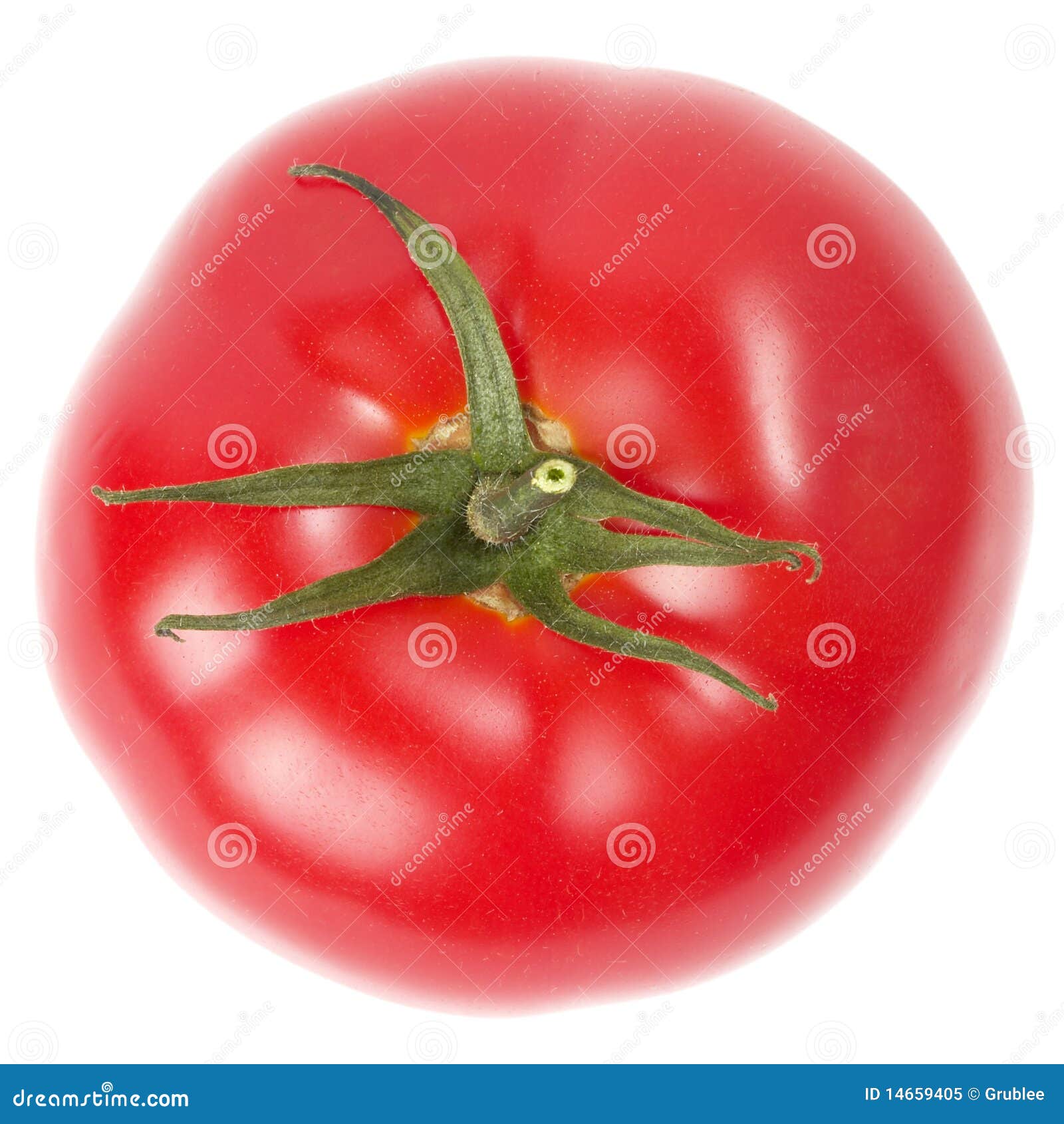 One tomato stock image. Image of vitamin, tasty, fresh - 14659405