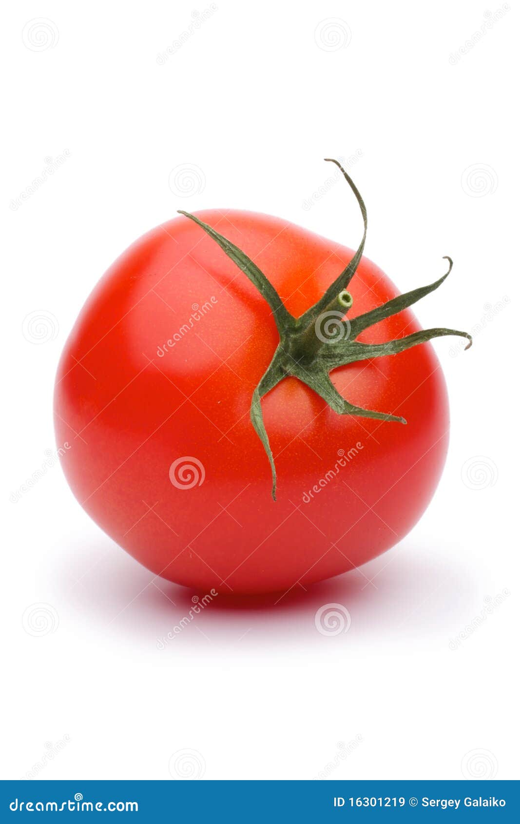One tomato stock image. Image of agriculture, juicy, freshness - 16301219