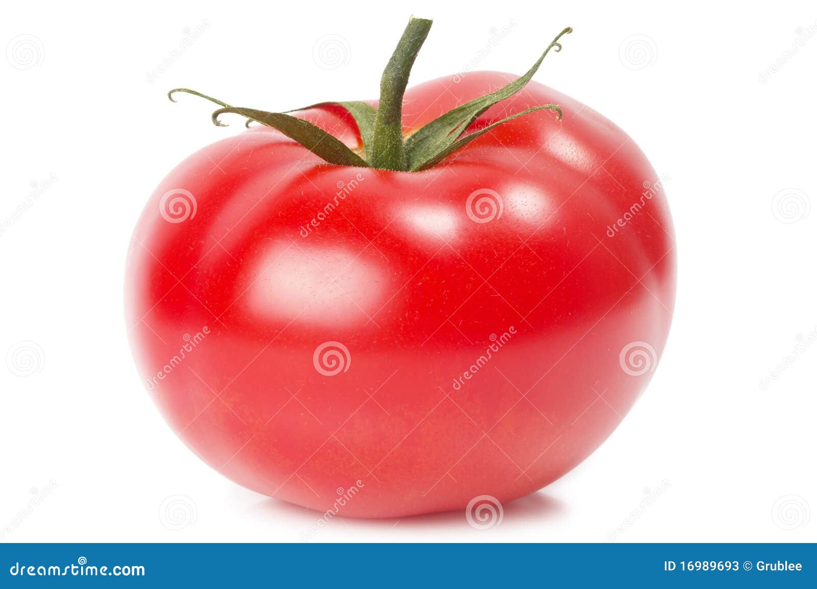 One tomato stock image. Image of healthy, macro, diet - 16989693
