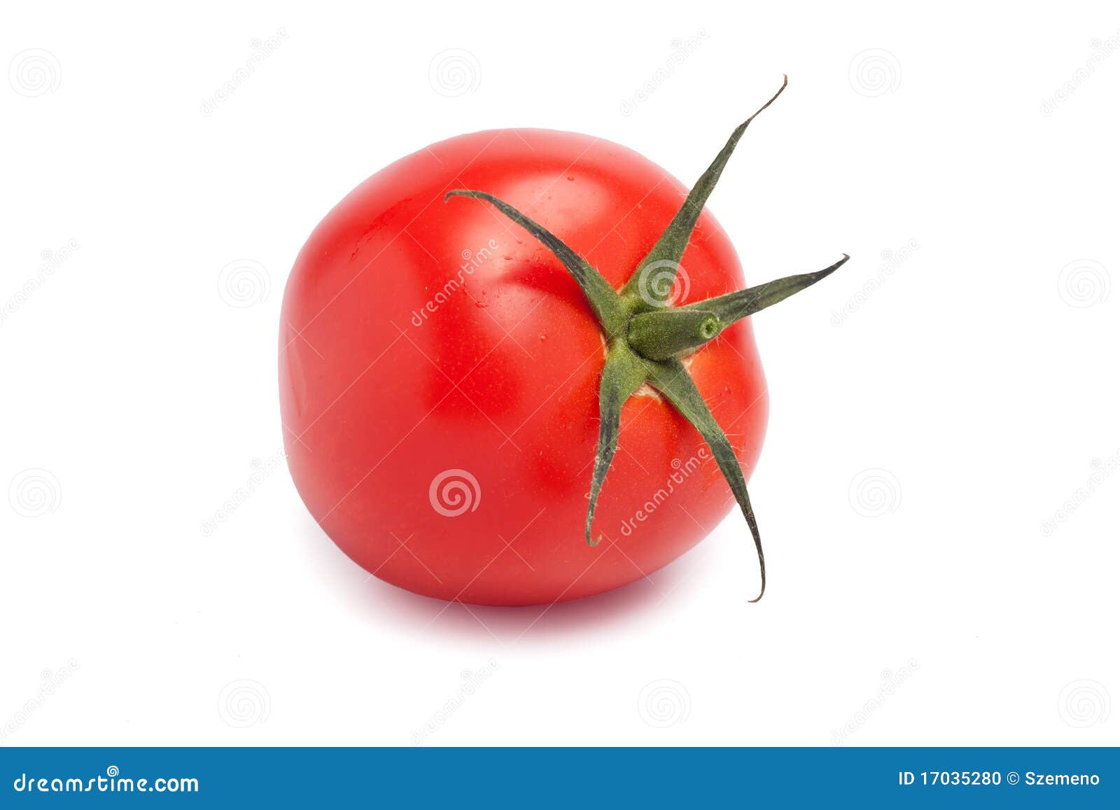 One tomato stock photo. Image of drop, color, leaf, delicious - 17035280