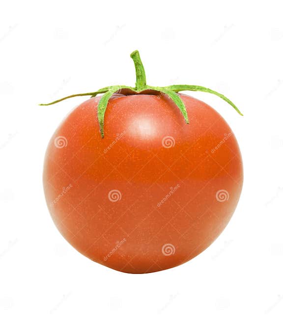 One Tomato stock photo. Image of delight, macro, culinary - 18271170