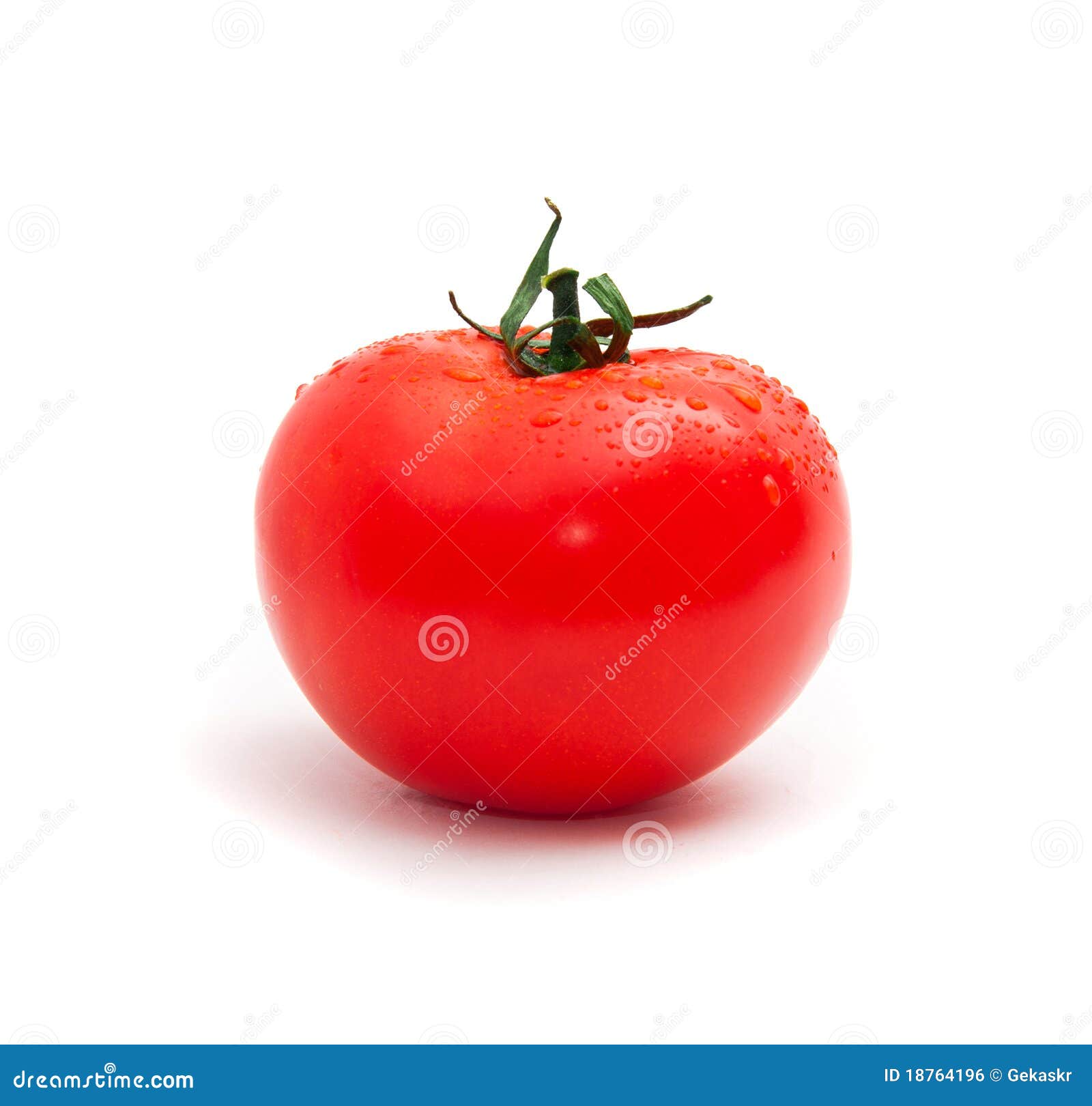 One Tomato stock photo. Image of meal, background, food - 18764196