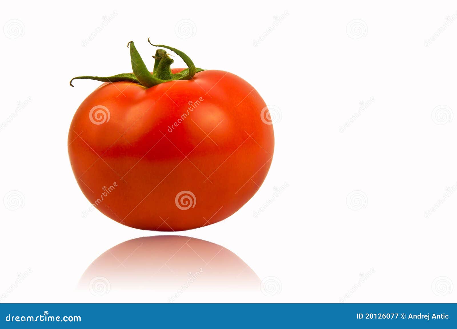 One tomato stock image. Image of edible, drop, farm, foodstuff - 20126077