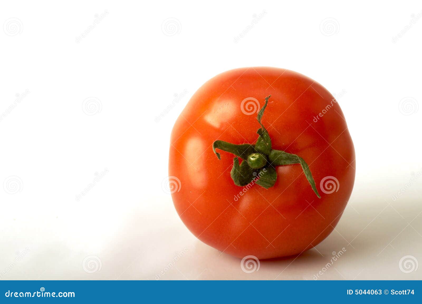One tomato stock image. Image of healthy, natural, tomatoes - 5044063