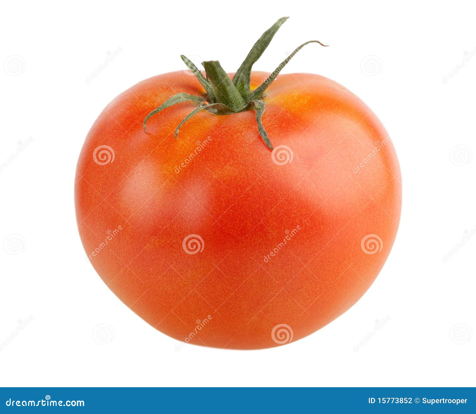 One tomato isolated stock photo. Image of healthy, macro - 15773852