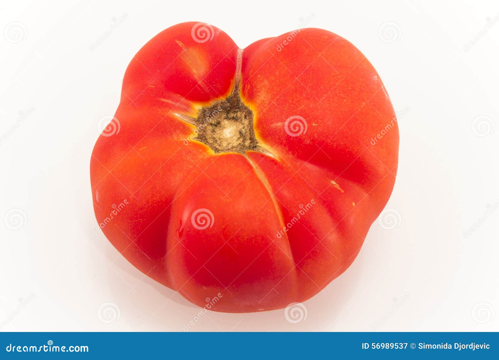 One Tomato Isolated on White Stock Image - Image of clean, vegan: 56989537
