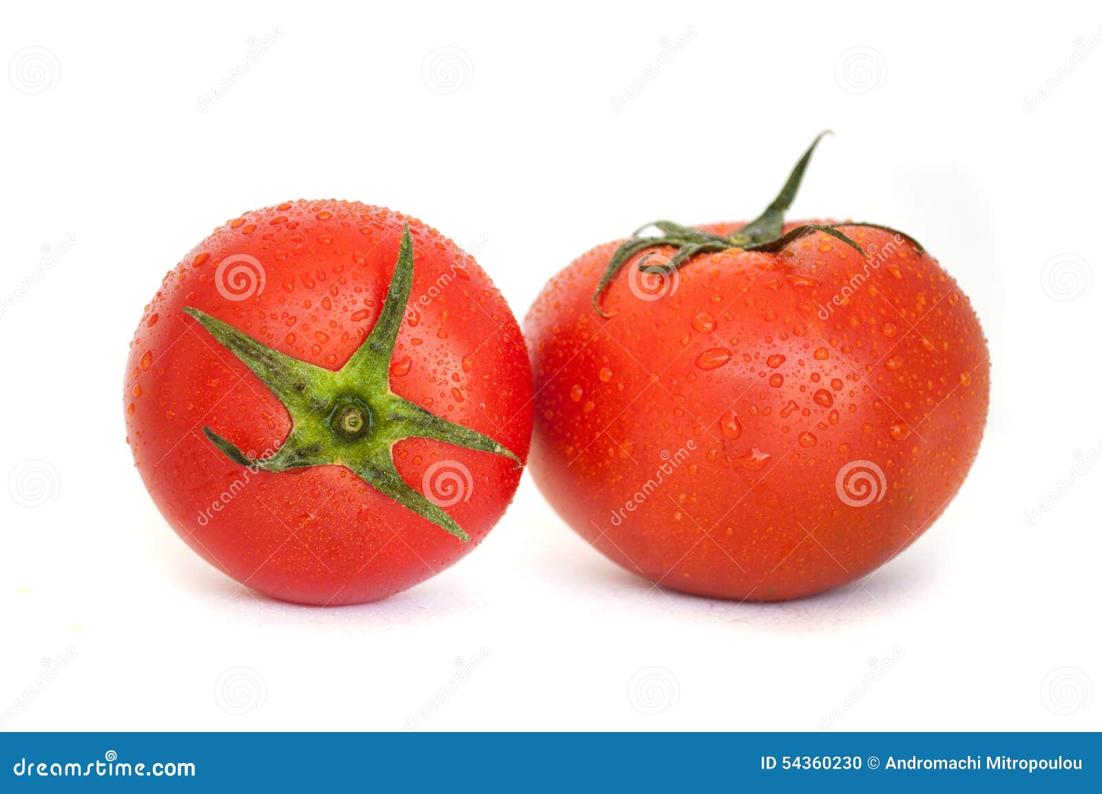 One Tomato Isolated in White Stock Photo - Image of feta, closeup: 54360230