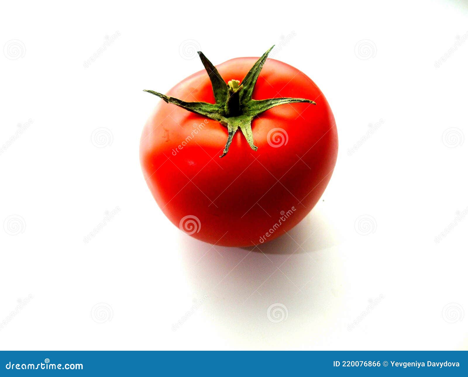 Tomato one stock photo. Image of pumpkin, petal, food - 220076866