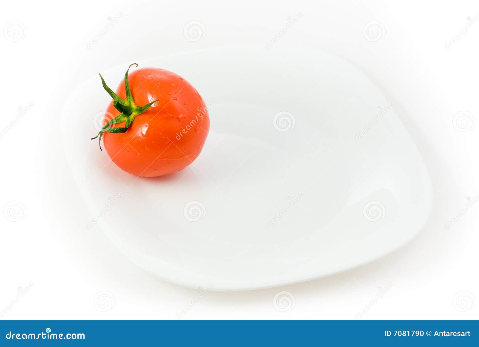 One tomato in plate stock photo. Image of italy, stem - 7081790
