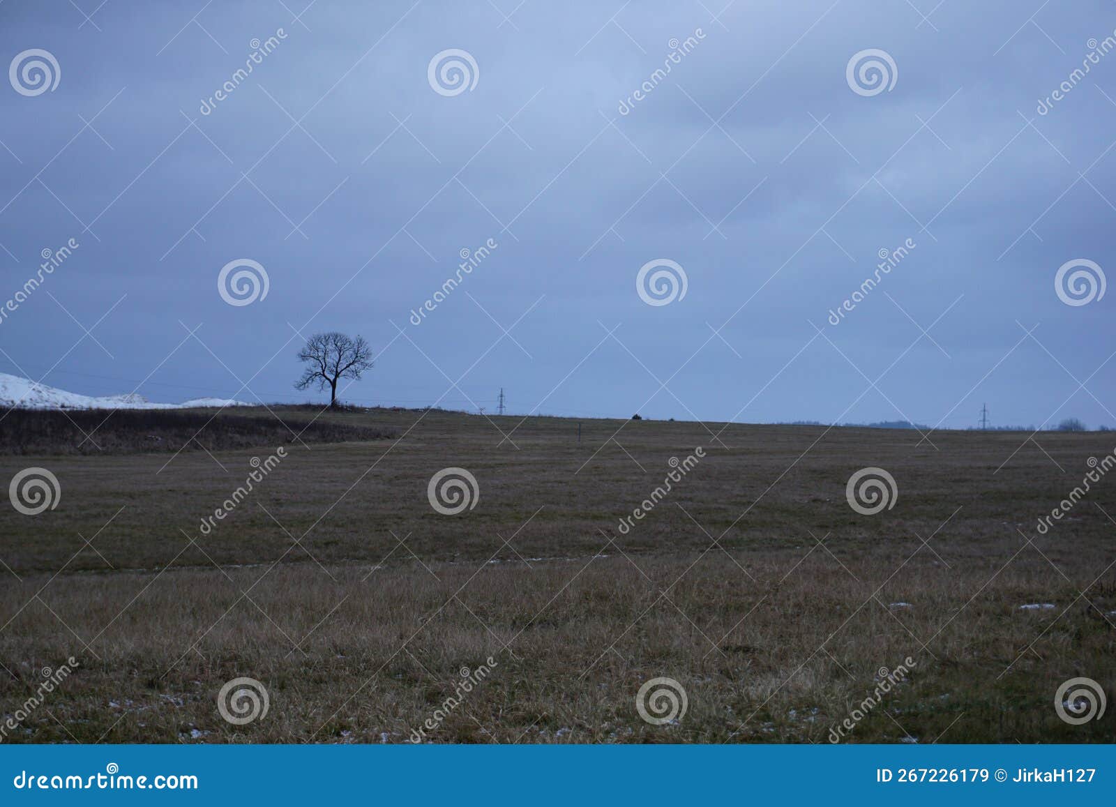 One Tree in a Big Meadow. with Dark Skye Stock Image - Image of ...