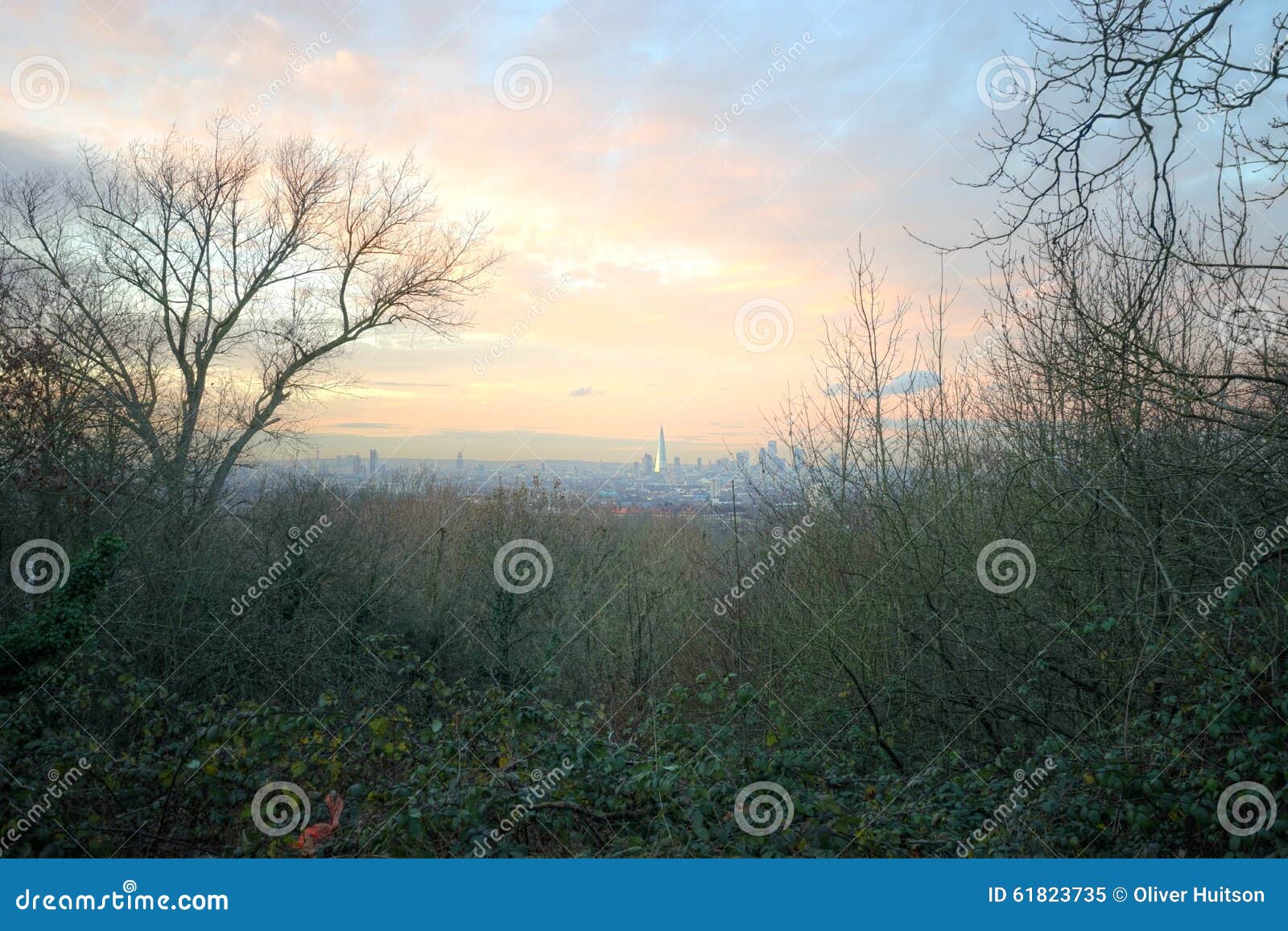 One tree branch stock image. Image of blocks, modern - 61823735
